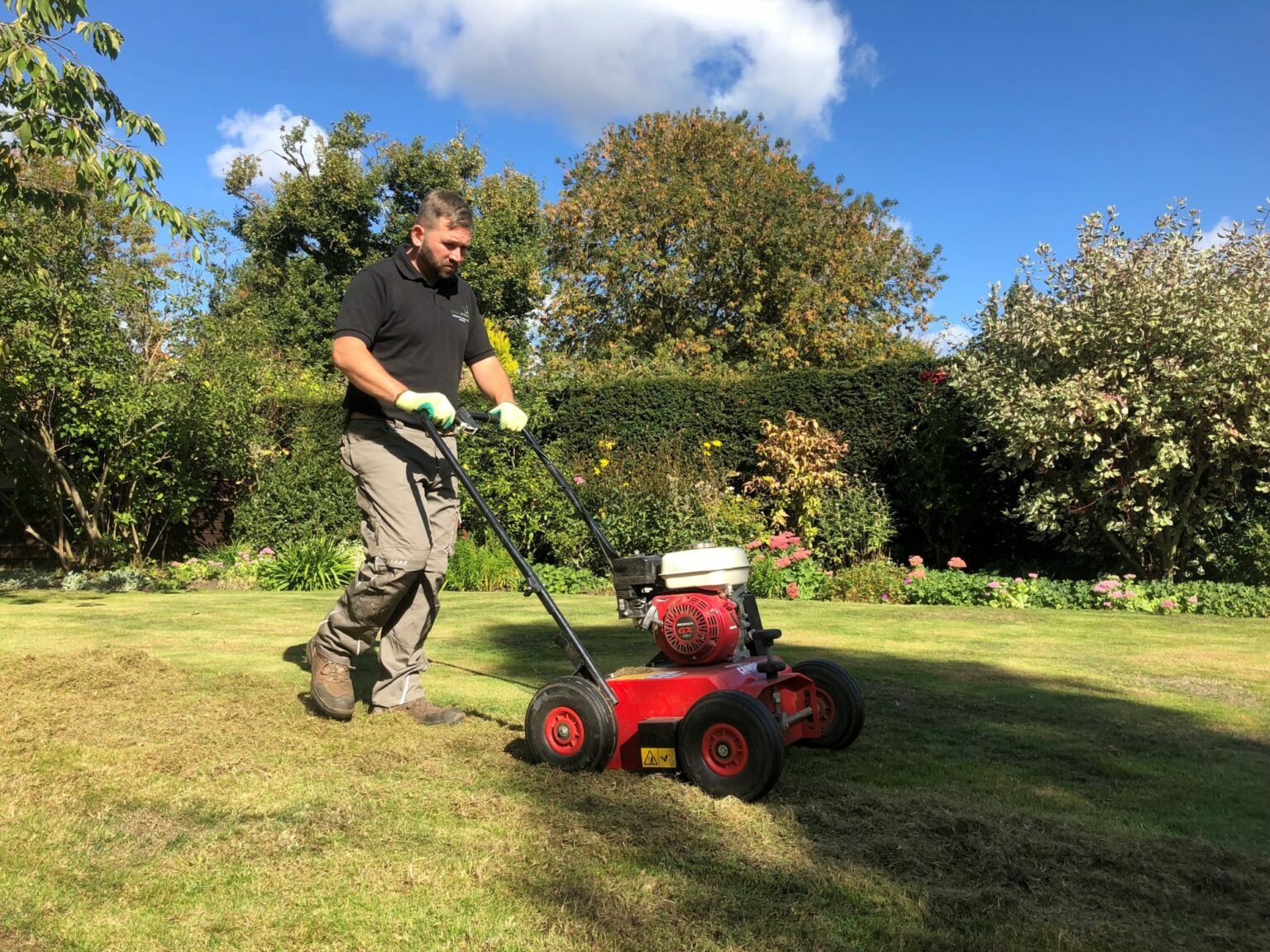 Lawn Scarification Service | Greengrass Ltd